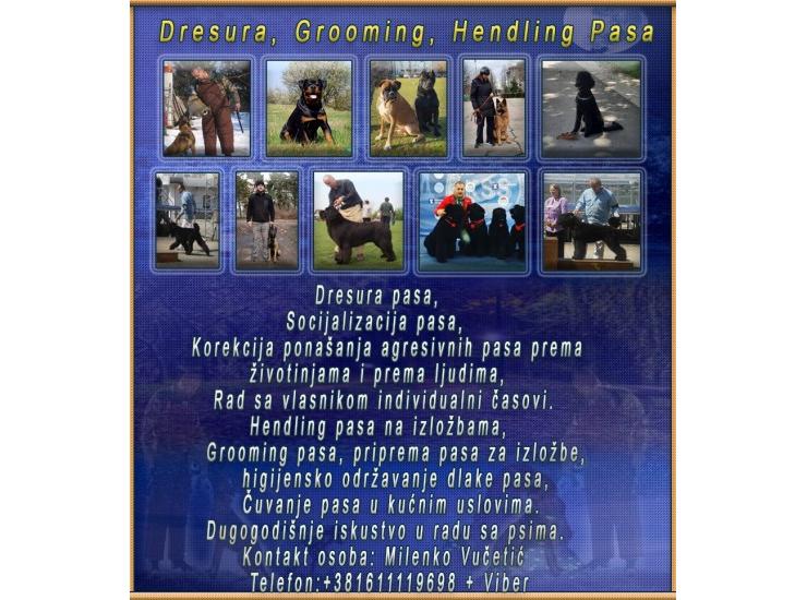 Dresura pasa, Hendling i Grooming pasa