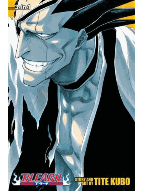Bleach (3-in-1 Edition), Vol. 5