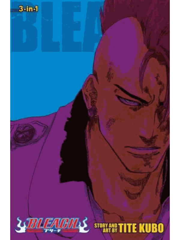 Bleach (3-in-1 Edition), Vol.23