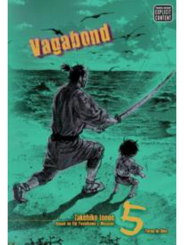 Vagabond (VIZBIG Edition), Vol. 5