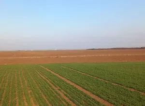 Prodaja Ostale nekretnine - Inđija