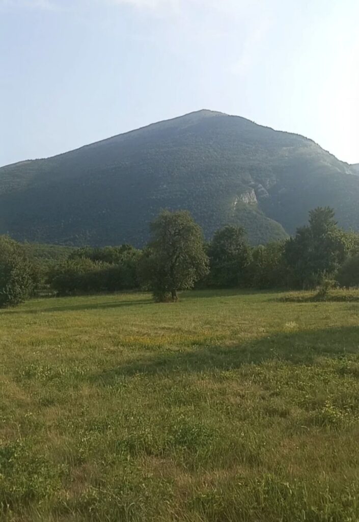 Na prodaju parcele u samom podnozju Rtnja