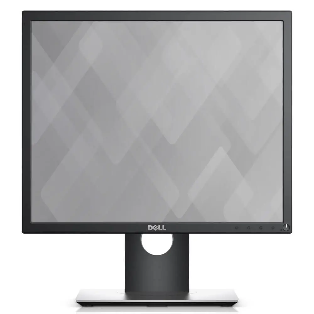 DELL 19" IPS P1917S Monitor