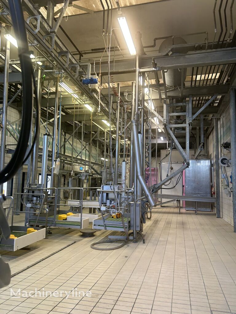 Cattle slaughter line equipment 30/h oprema za klanicu