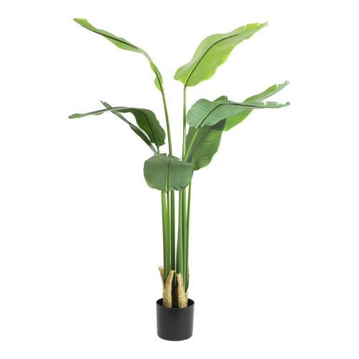 Veštačko drvo Strelitzia 150 cm