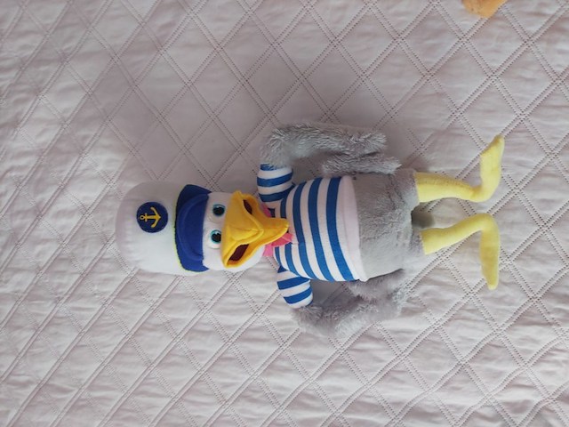 plisani galeb Feliks