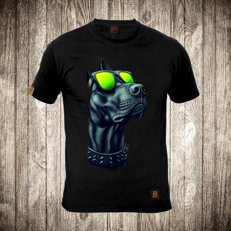 Doberman sa naočarima ( Leto )