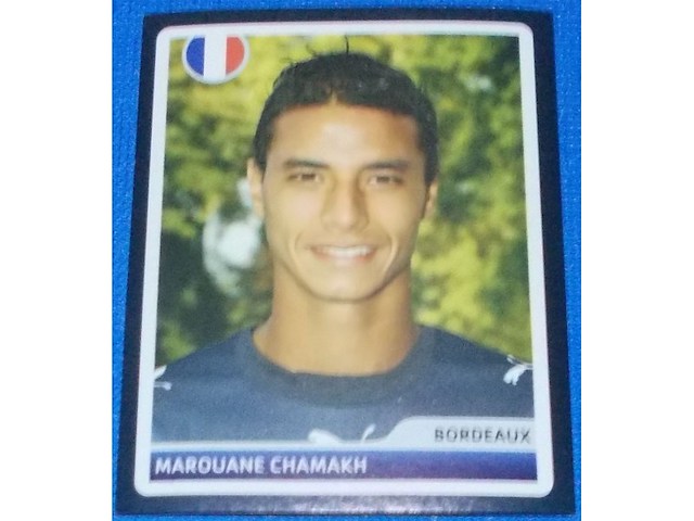 UEFA  CHAMPIONS  LEAGUE  2006 - 2007  br. 291