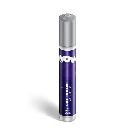 Wow Muški parfem Life In Blue 2004, 25ml