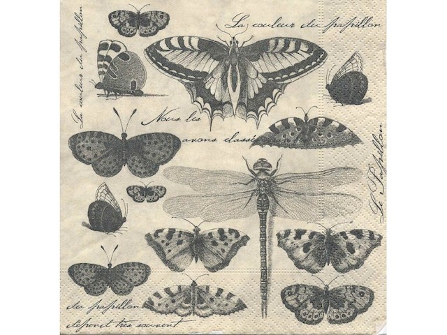 Salveta PL_049 - 33x33cm Leptiri