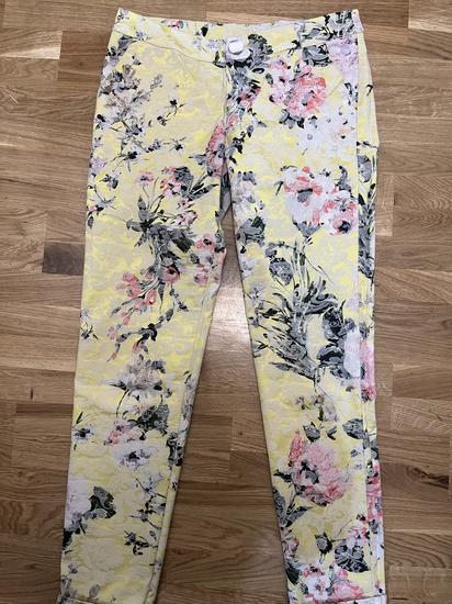 TFY Pantalone
