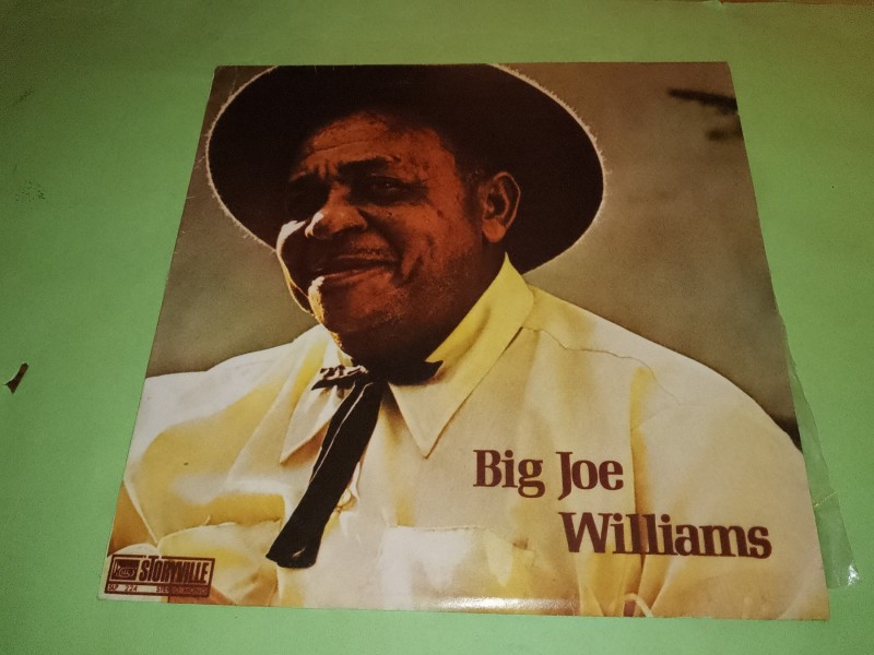 Big Joe Williams - Big Joe Williams