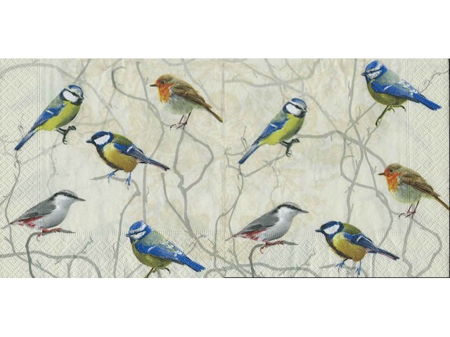 Salveta K8_053 - 33x33cm Ptice