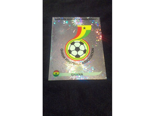 Panini FIFA 2010 J.Afrika sličica broj 316