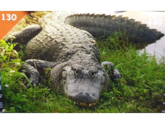 ŽIVOTINJSKO CARSTVO 2016 br.130 Aligator