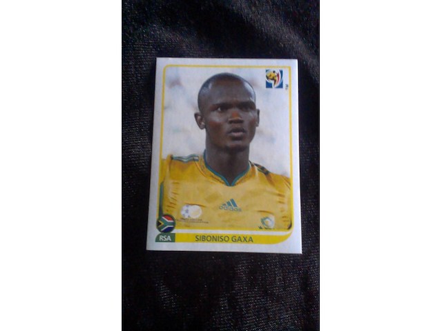Panini FIFA 2010 J.Afrika sličica broj 033