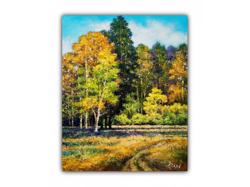 ulje na platnu 50x40cm