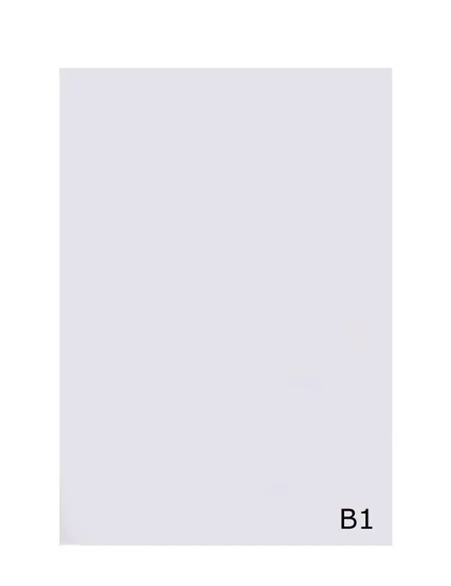 Hamer B1 200g, Beli