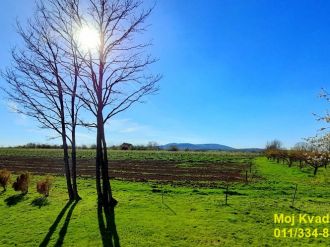23.717m² 250.000€
Beograd, Mladenovac, Gajska