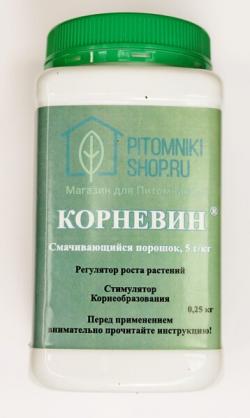 Kornevin