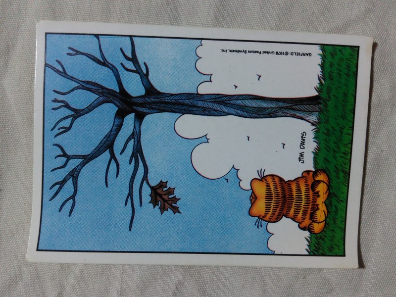 Garfield broj 180