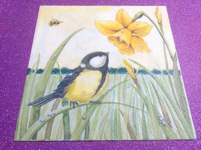Salveta 33 x 33