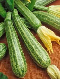 Italijanski cukini (20 semenki)