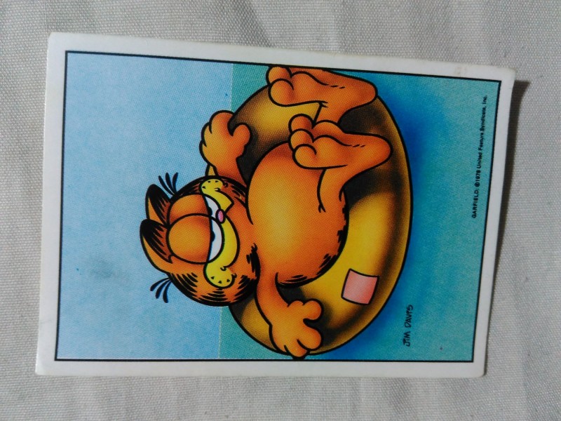 Garfield broj 172