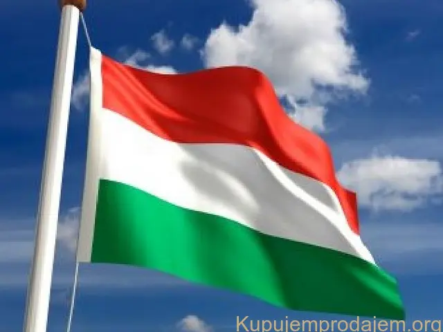 Online i uživo časovi mađarskog jezika