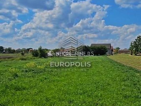 Ugrinovačka bara, Ugrinovci, Zemun ID#7222