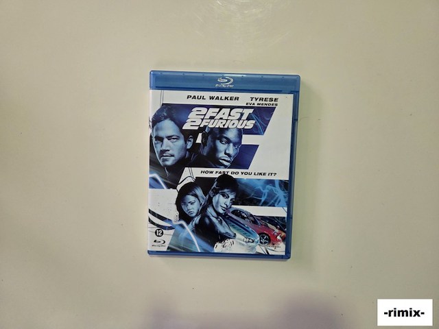 Blu ray  -  The 2fast and the 2furious
