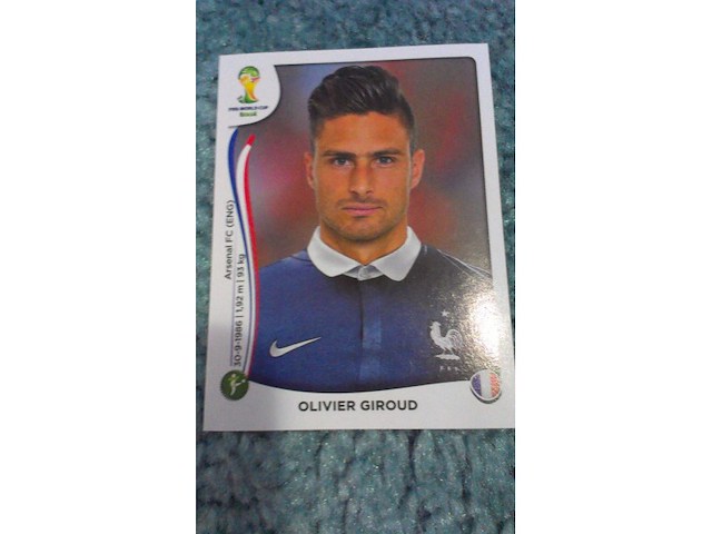 Panini FIFA 2014 Brazil sličica broj 391