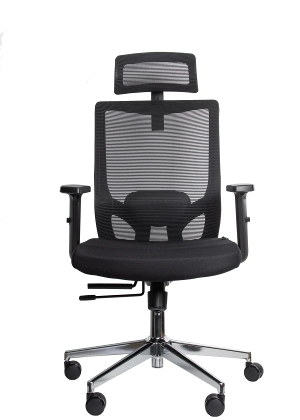 Ergonomska kancelarijska stolica UGD Vista D94