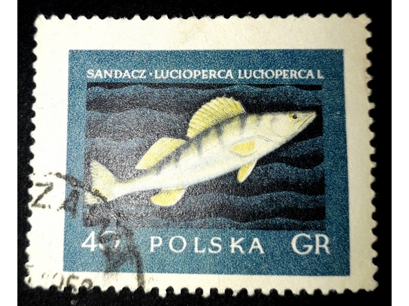 Polska,fauna