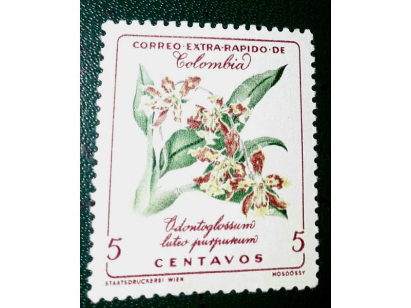 Columbia - flora