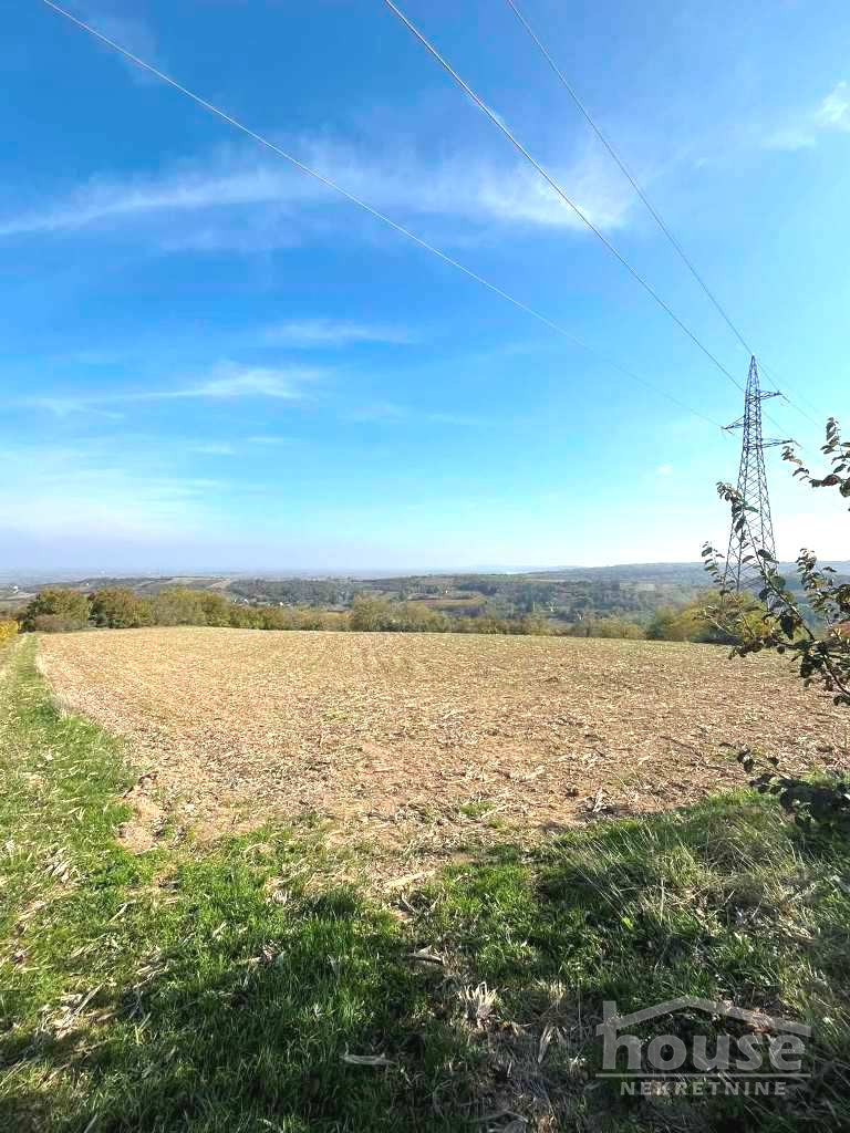 ID 7081203, Novi Sad, SREMSKI KARLOVCI
