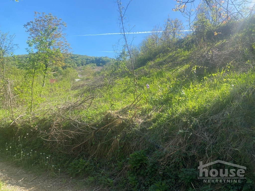 ID 7081138, Novi Sad, DUMBOVO