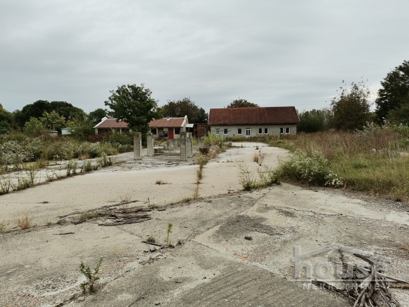ID 9112875, Novi Sad, RUMENKA