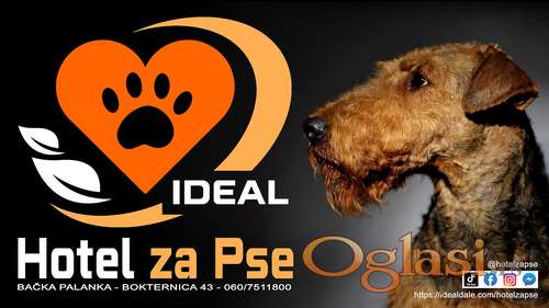 Hotel za pse Ideal