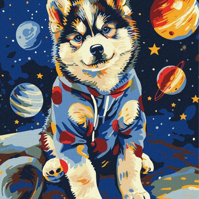 30x40cm Haski u Svemiru