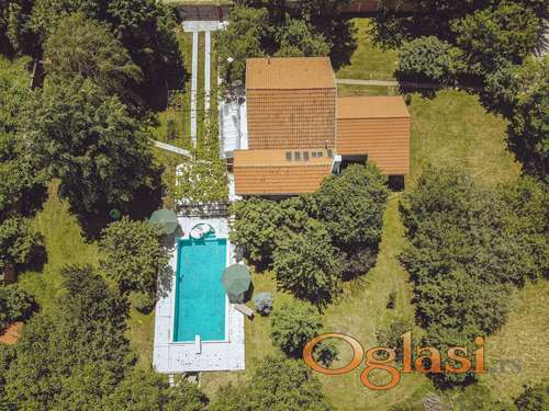 Vila Lipovica