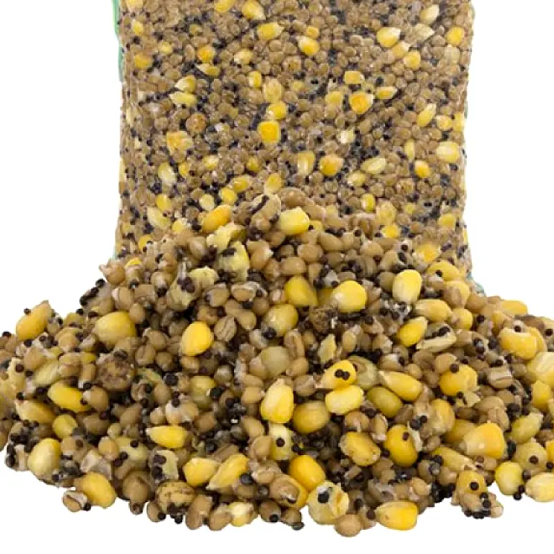 Big Carp SPOD MIX 3kg
