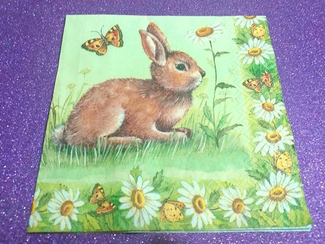 Salveta 33 x 33