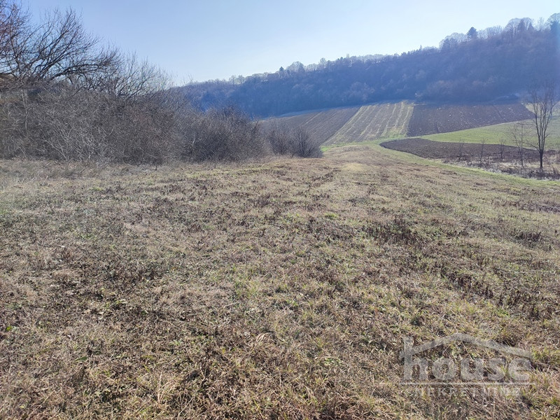 ID 7080962, Novi Sad, ČORTANOVCI