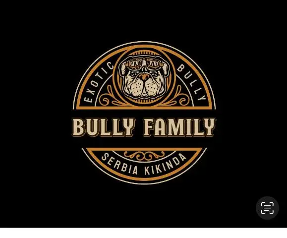 American bully exotic štenci