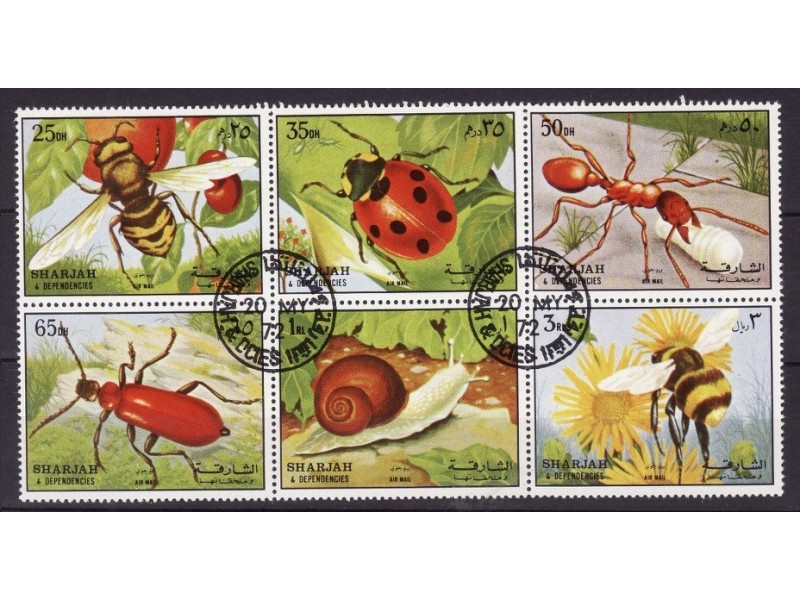 Sharjah - bube - 1972.
