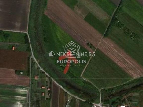 Nebojše Popovića, Borča, Palilula ID#7483