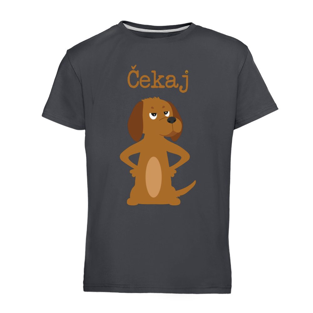 Čekaj I