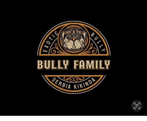 American bully exotic štenci