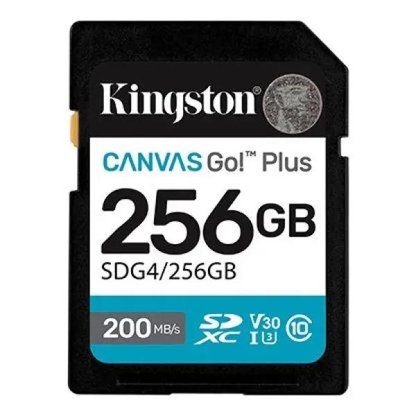 MEM SD 256GB Canvas Go! Plus Kingston SDG4256GB